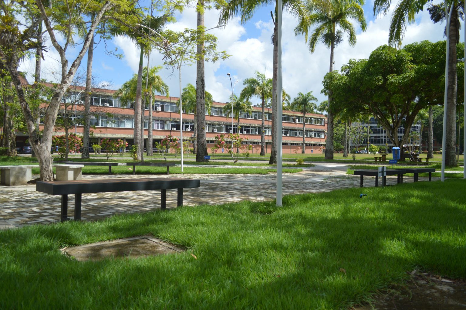 Uesc abre vagas para transferência externa em cursos de graduação ...